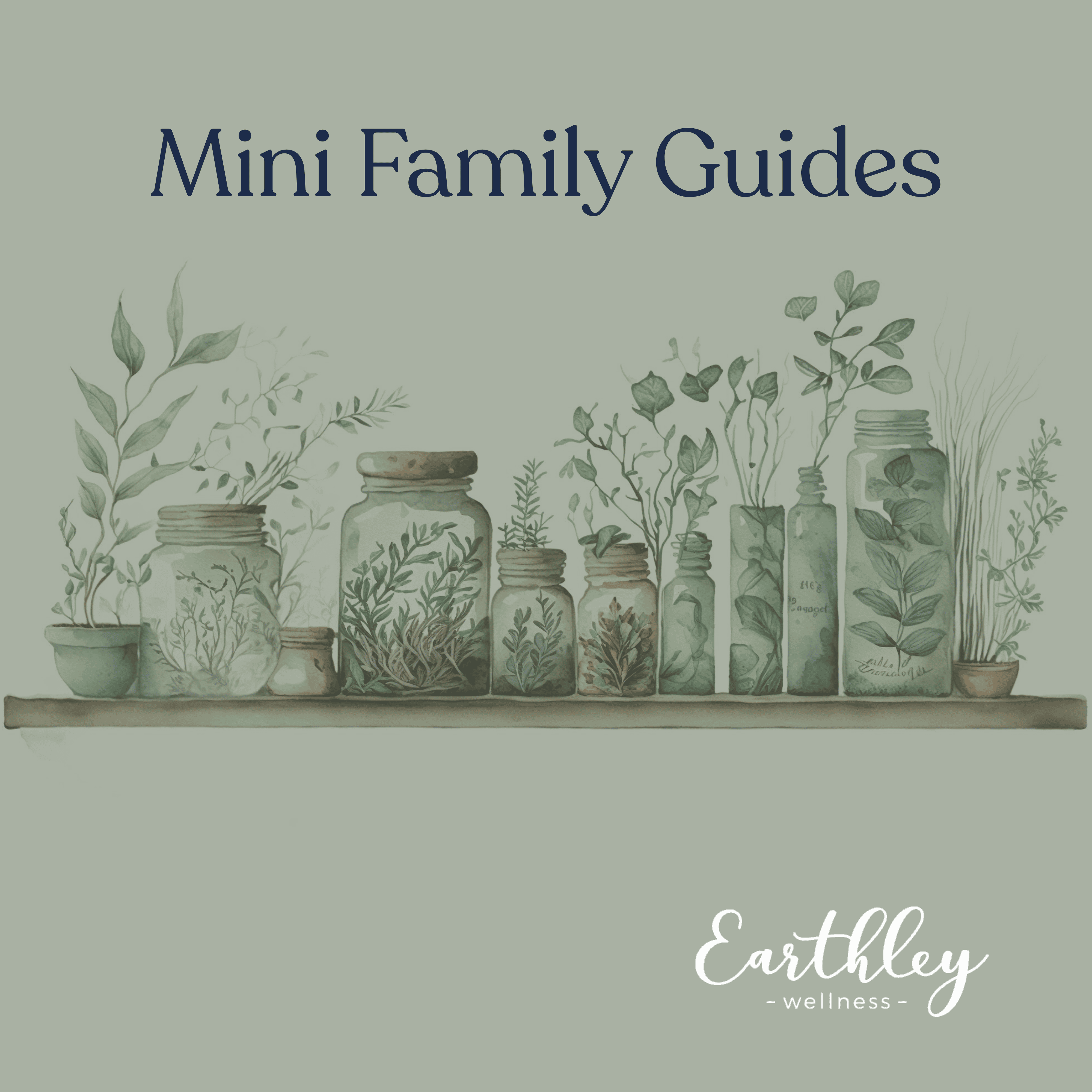 Herbal & Other Ingredients Mini Family Guides - Printable activity ...