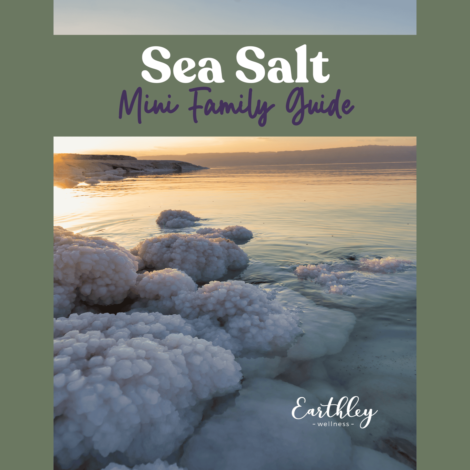 Sea Salt Mini Family Activity Guide (Printable Digital Download ...