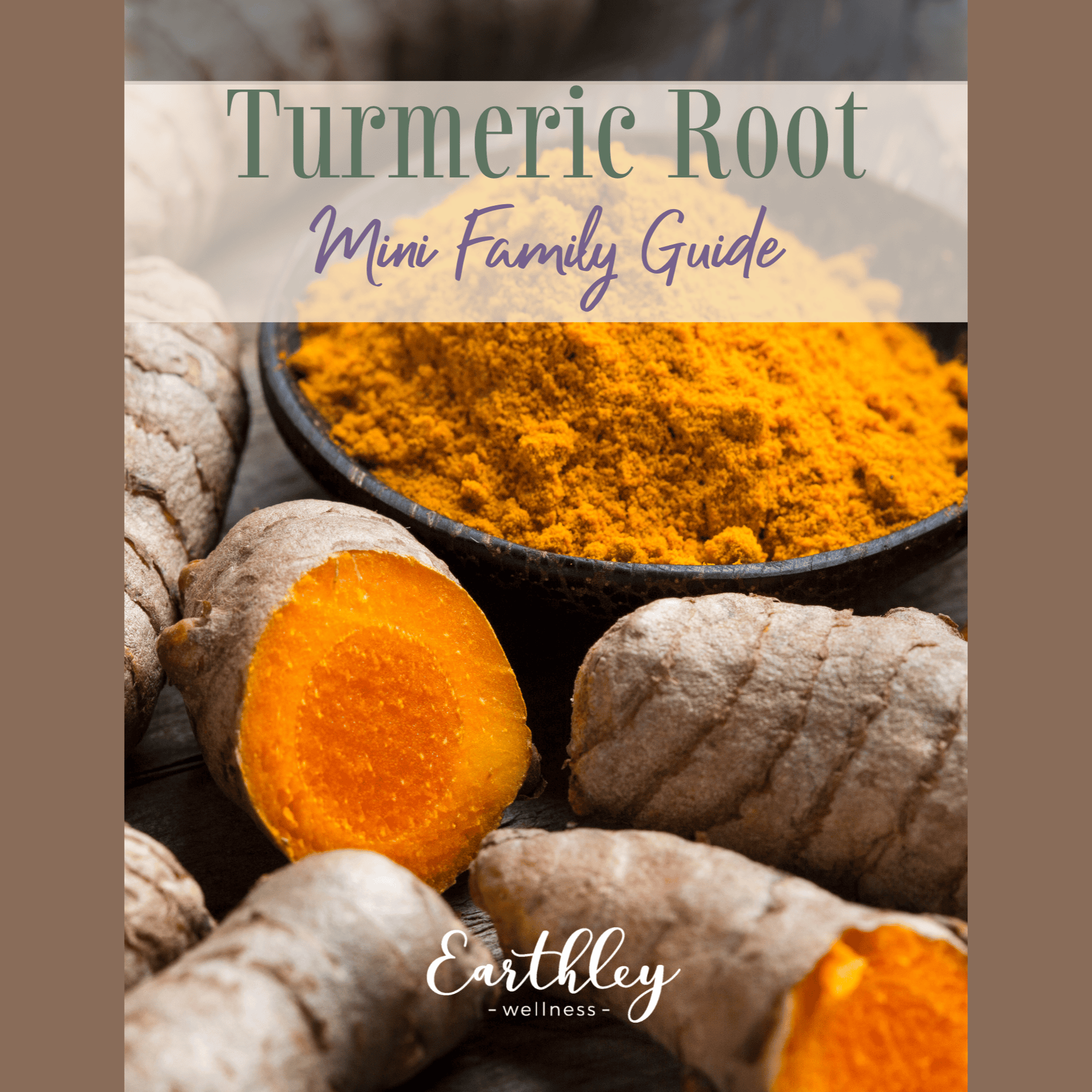 Turmeric Mini Family Guide {PDF Digital Download} | Natural Wellness ...