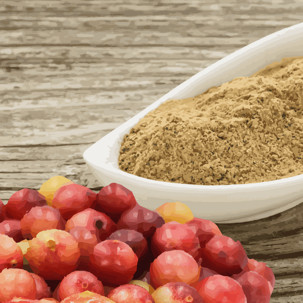 Organic Camu Camu Powder (Myrciaria dubia) | Natural Ingredients ...