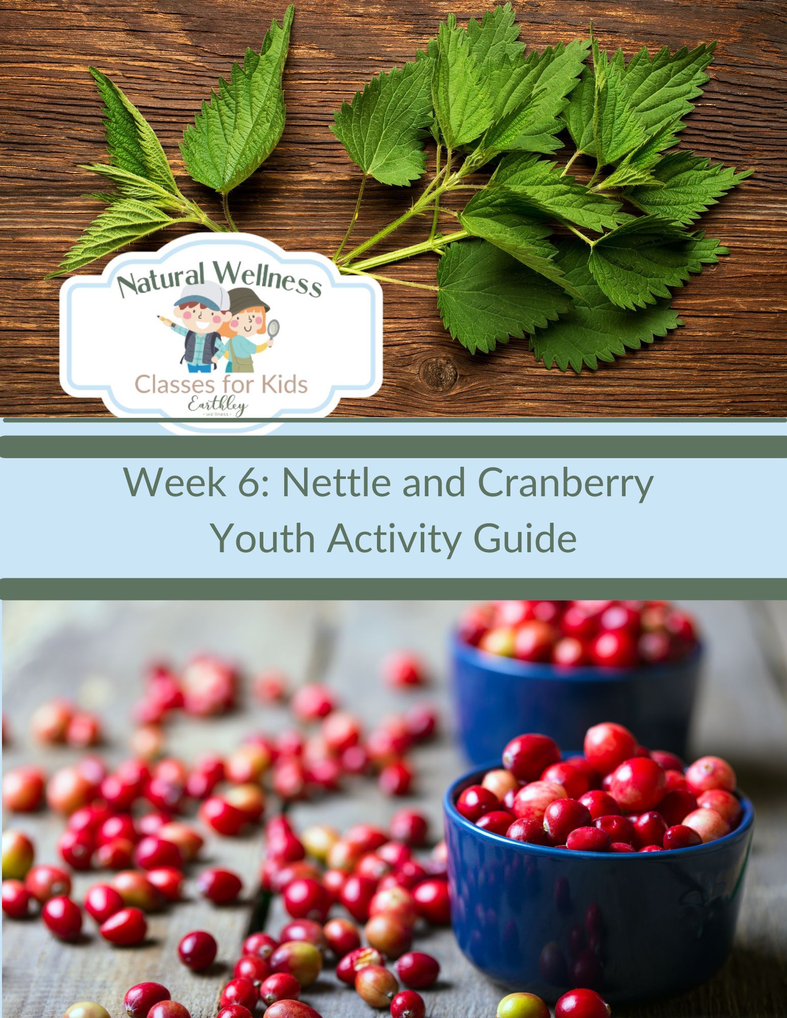 Nettle and Cranberry Activity Guide for Youth | Natural Wellness ...