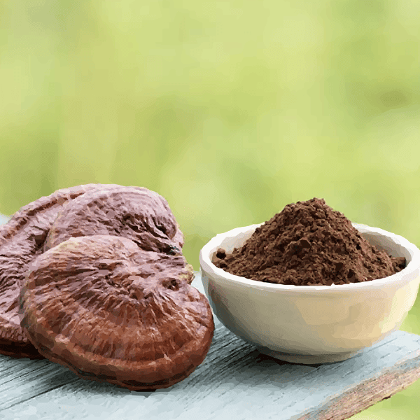Reishi Mushroom Powder {Organic} (Ganoderma lingzhi) | Natural ...